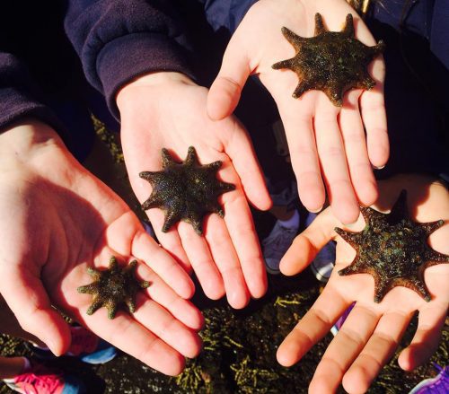 Sensational Summer School Holiday Guide - Northern Beaches Living