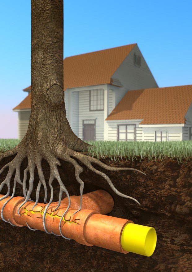 Streamline Pipes - Northern Beaches Living