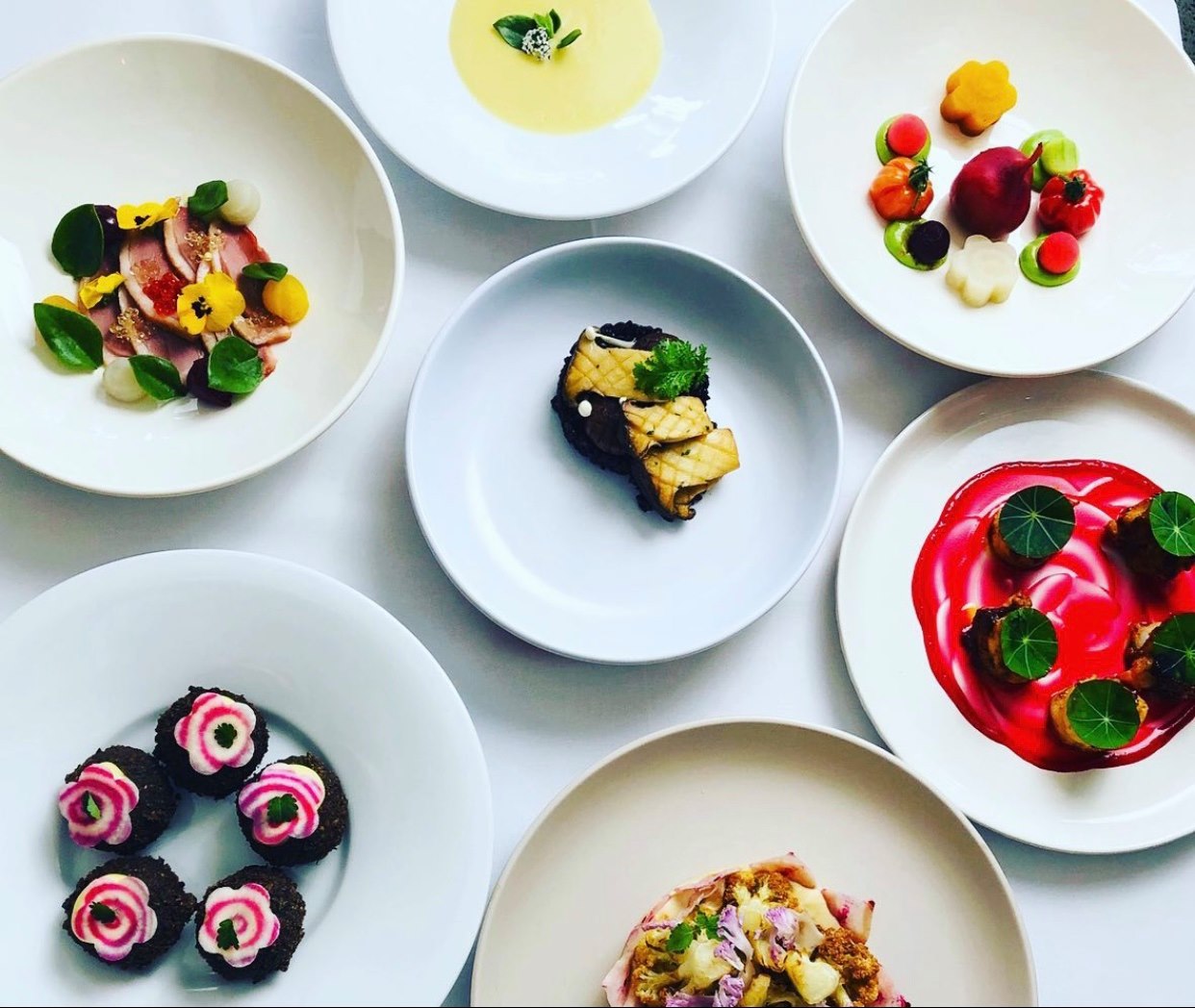 Haven't Been to Coya Yet? Add It to Your 2021 Foodie Adventure List ...