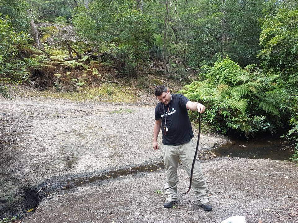 Is This the Most Awesome Job Ever? Meet Harley Jones, Snake Catcher ...