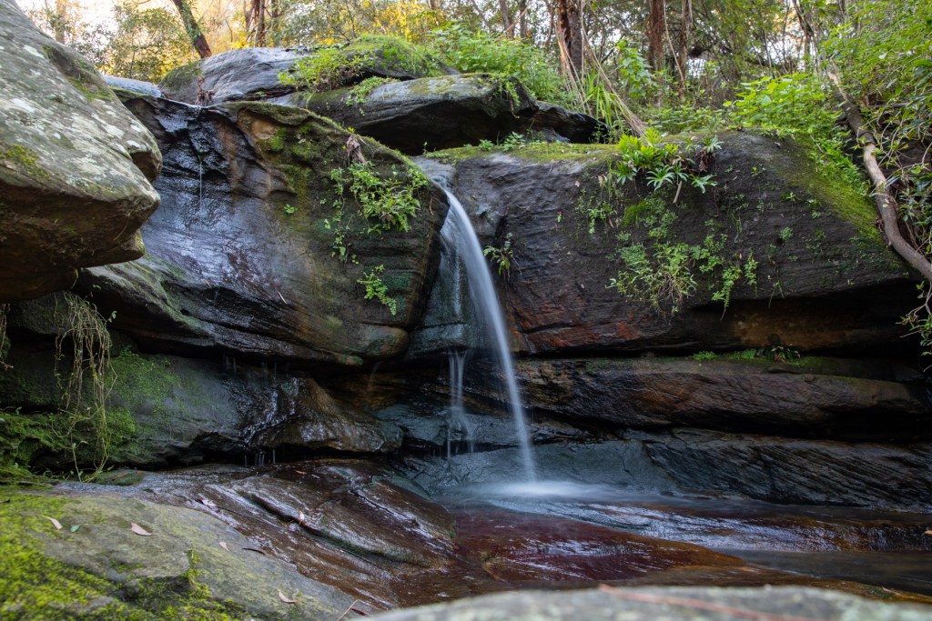 The Best Local Coastal and Harbour Walks - Northern Beaches Living