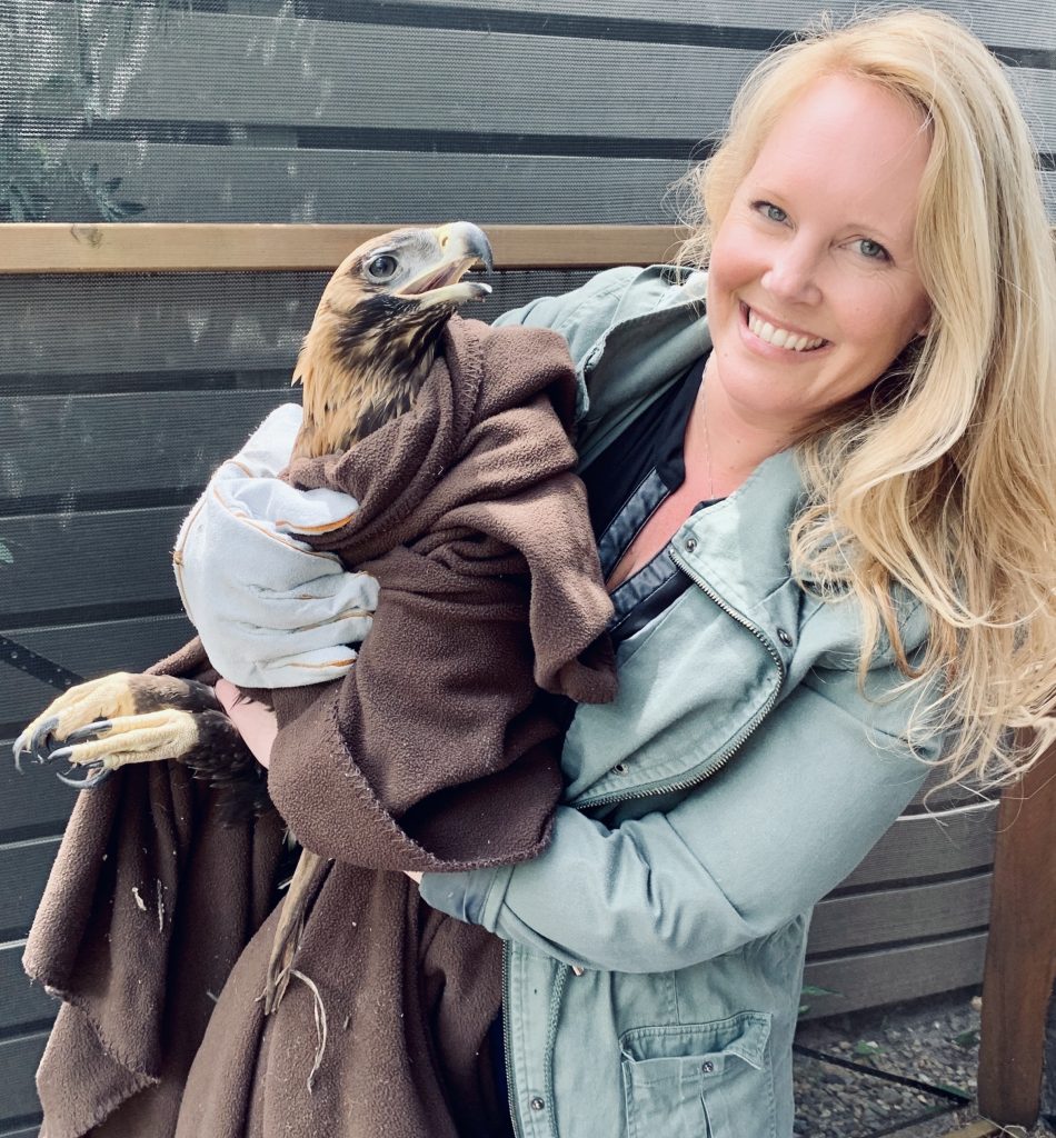 Meet Our Very Own Wildlife Warrior - Lynleigh Greig - Northern Beaches ...