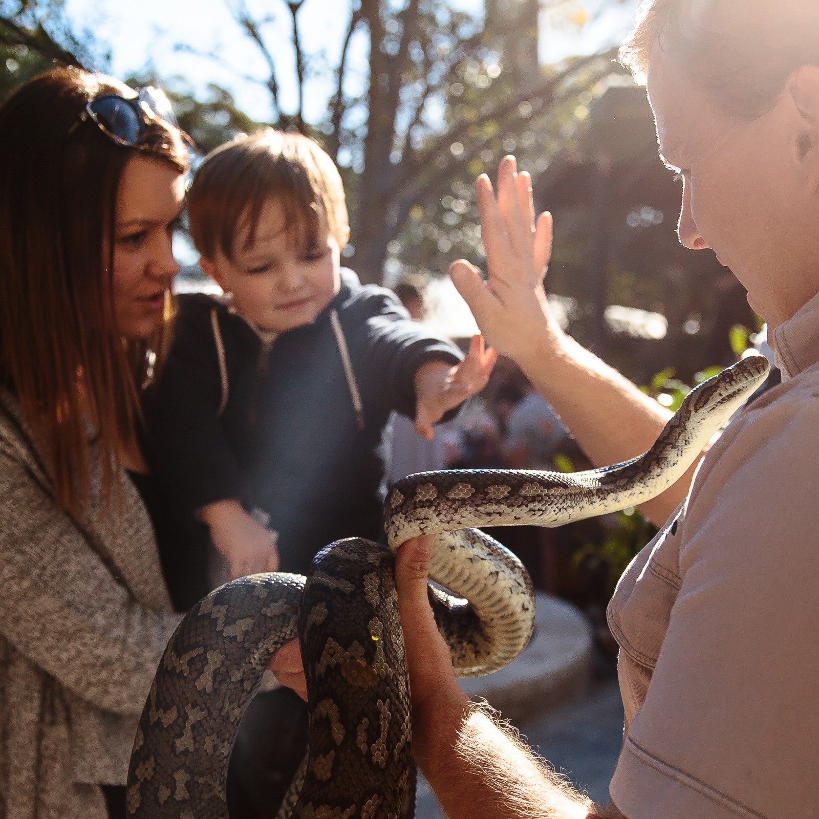 Reptile Man at The Newport - Northern Beaches Living