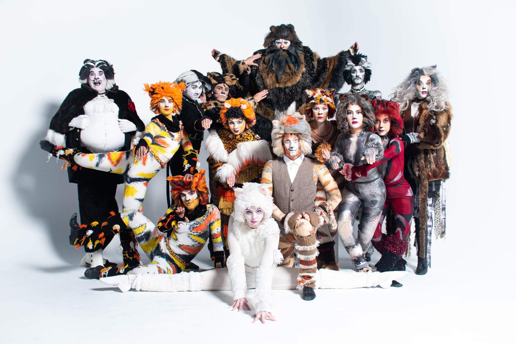 A Purr-fect Production of CATS Is Coming to The Concourse! - Northern ...
