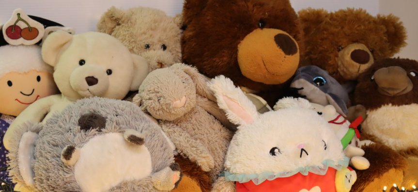 Teddy Bear Sleepover at Forestville - Northern Beaches Living