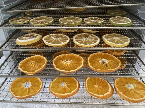 Borrow, Don't Buy: Northern Beaches' Library of Things Opens - Northern ...