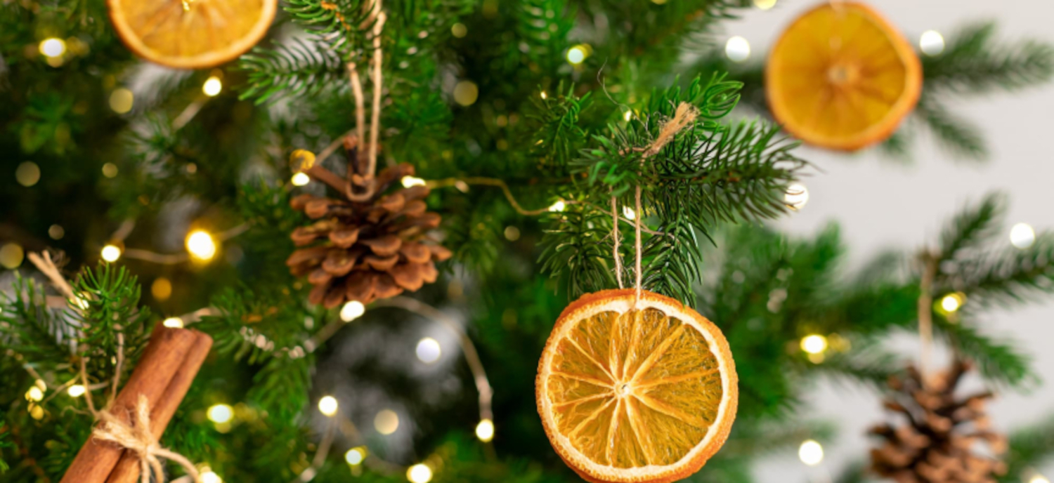 Free Festive Fun at the Coastal Environment Centre - Northern Beaches ...