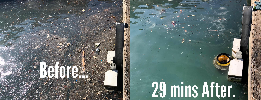 The Incredible Seabin Cleaning Up Our Beaches