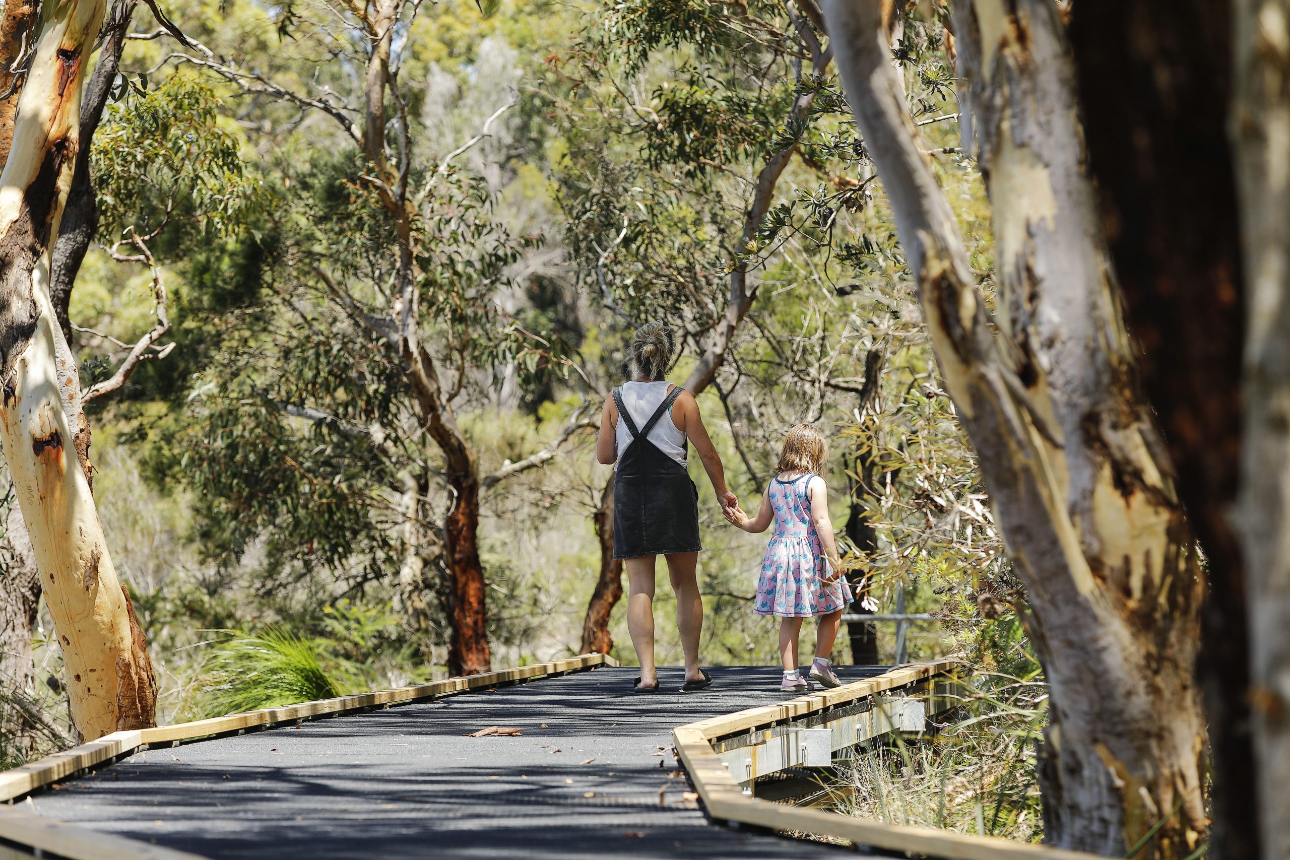 Elevated Boardwalk Now Open at Picturesque Manly Dam - Northern Beaches ...