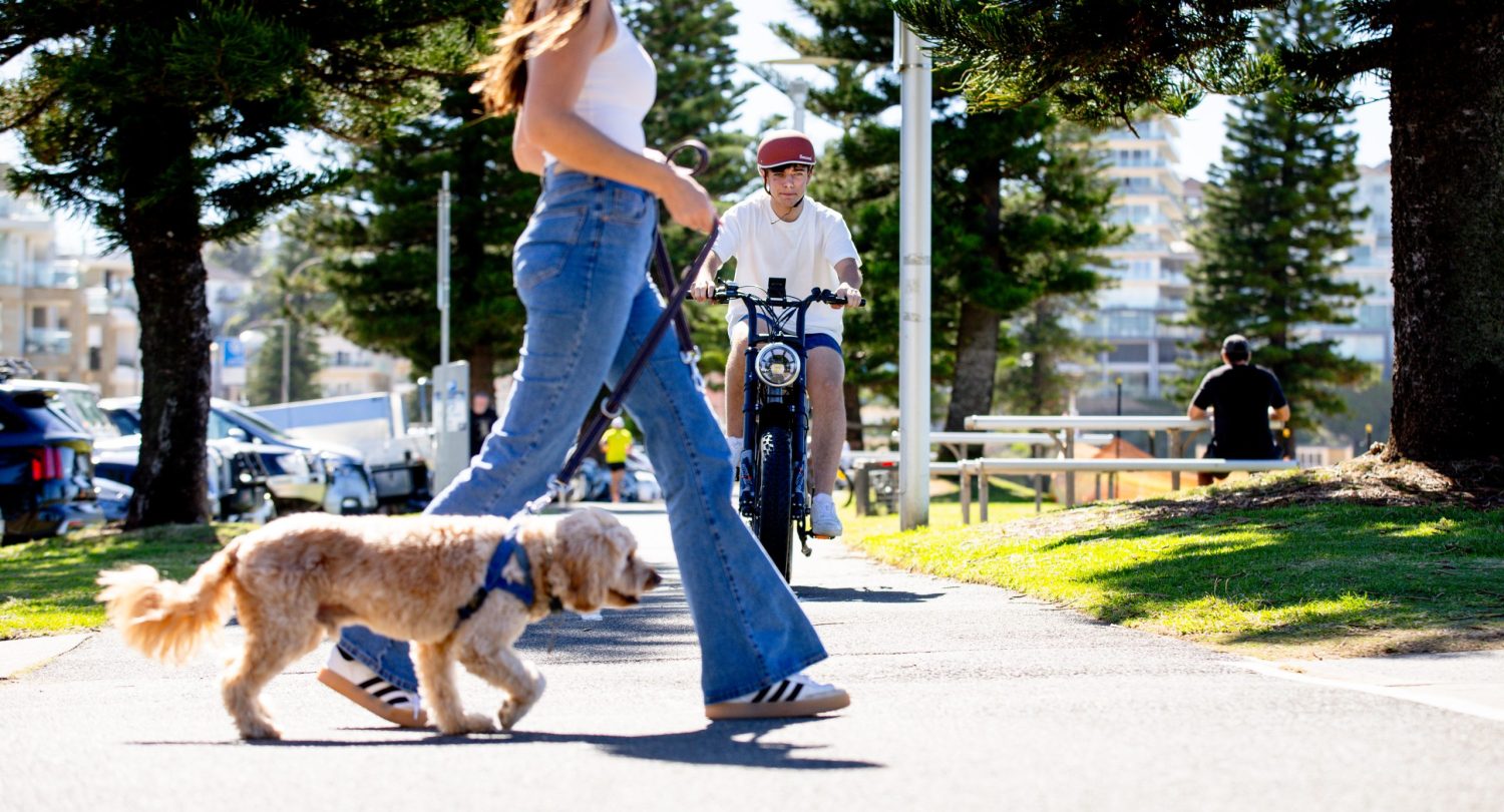 Speed Limits and Updated Driver Tests Proposed for E-Bikes - Northern ...