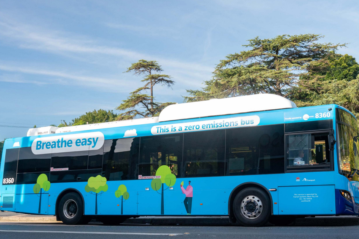 60 New Buses Are On the Way!! - Northern Beaches Living