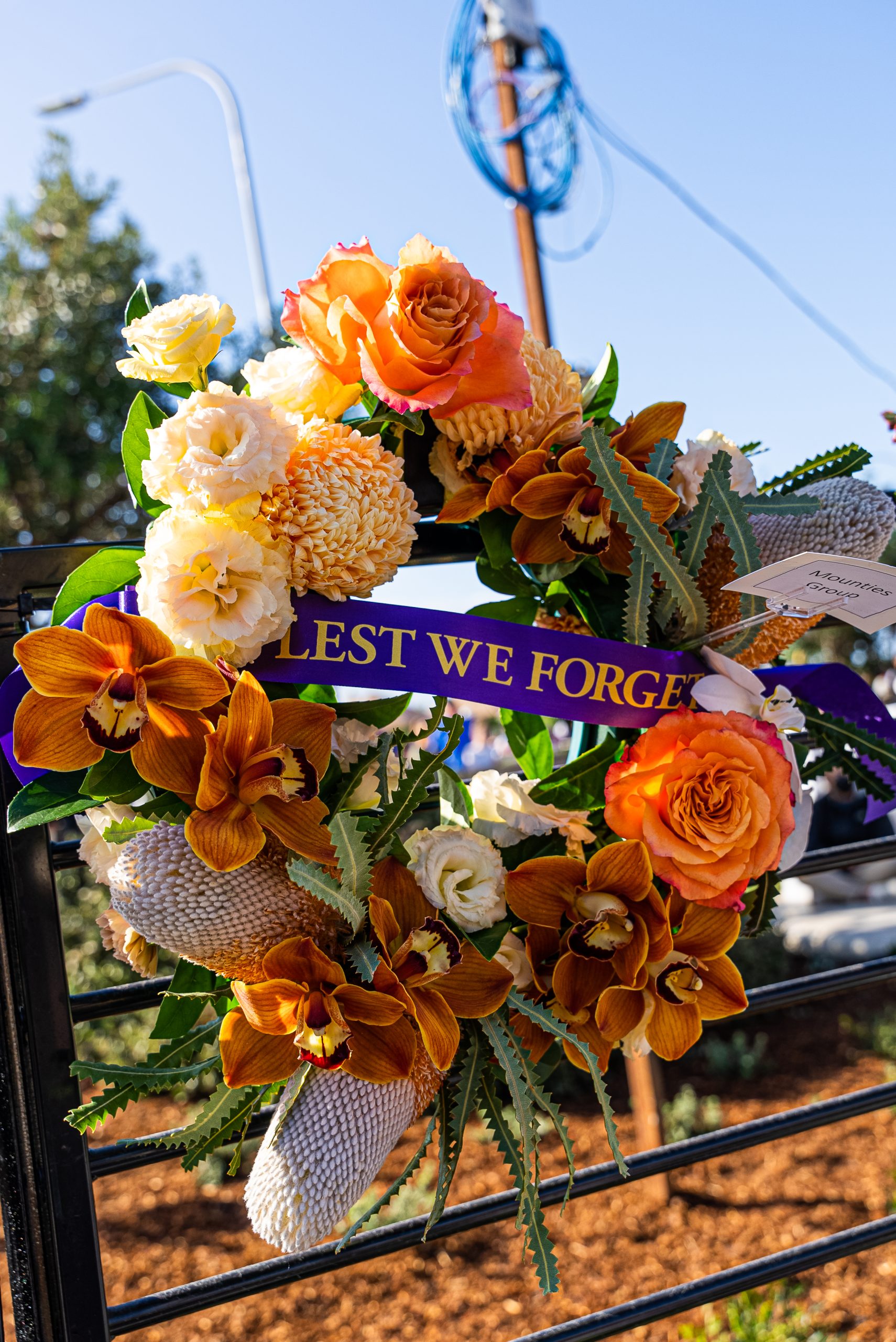 Share The ANZAC Day Spirit At Harbord Diggers - Northern Beaches Living