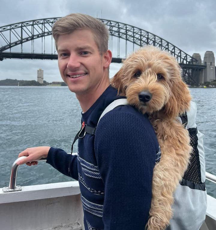 Should Dogs Be Allowed On Our Ferries? - Northern Beaches Living
