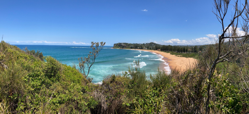 Must-Visit Waterfront Restaurants on the Northern Beaches - Northern ...